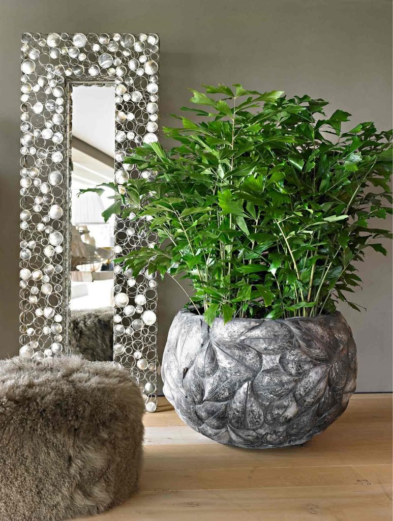 Natural and creative plant services for spa and wellbeing environments ...
