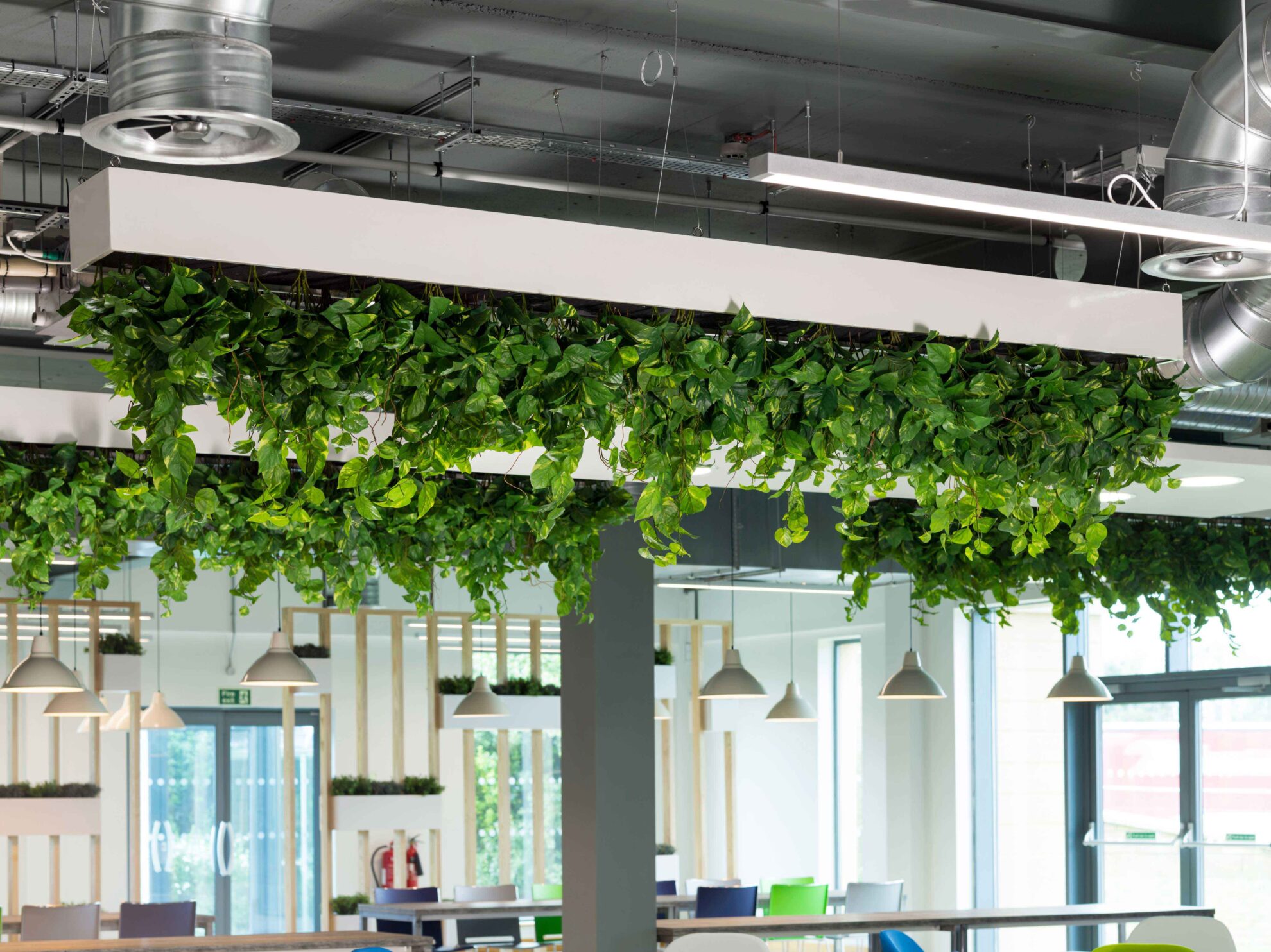 Do plants in commercial spaces need to be certified for fire safety ...
