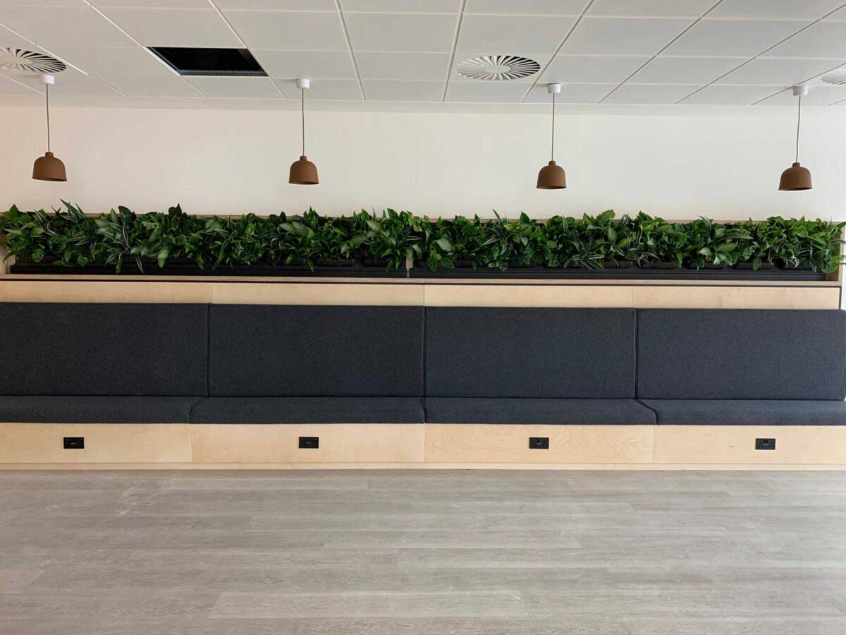 Fresh evidence underlines the connection between green walls and ...