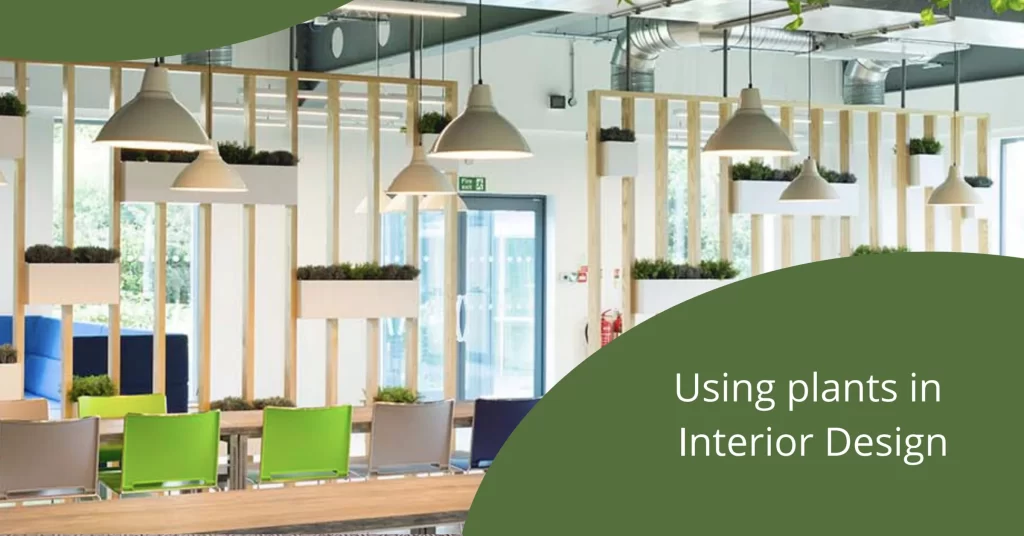 Using plants in interior design - Benholm