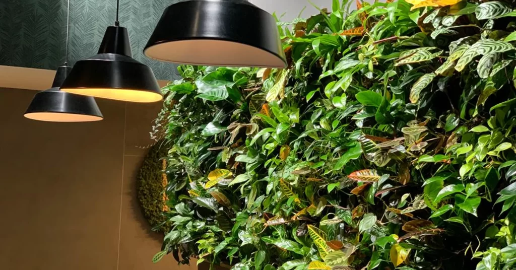 Interview with James Martin - Tsunami Axis