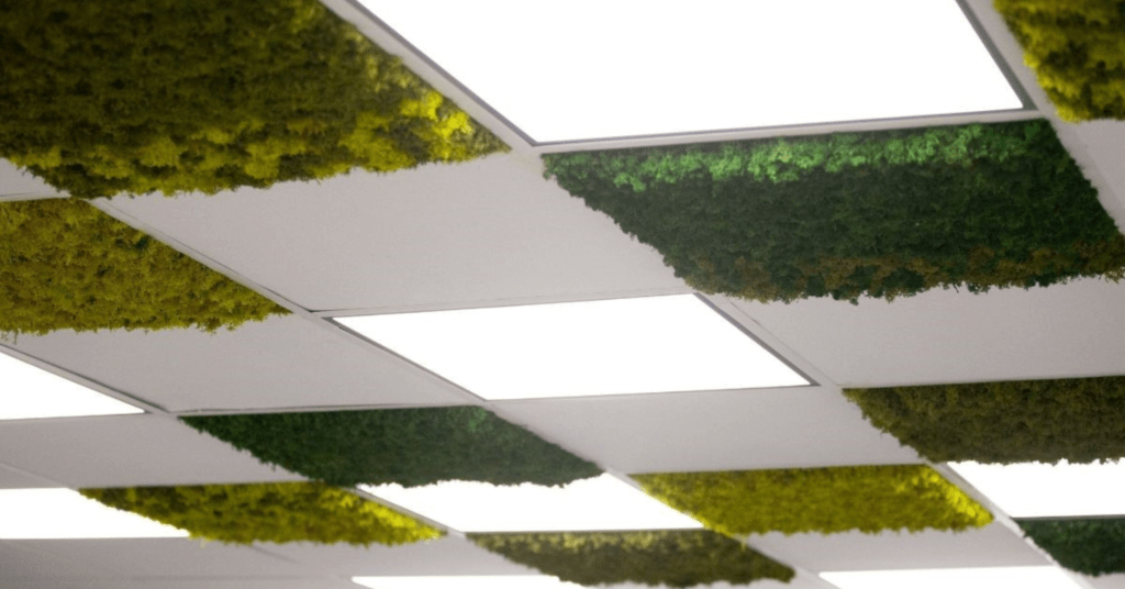 Moss Ceilings: A New Way to Bring Nature Indoors - Benholm