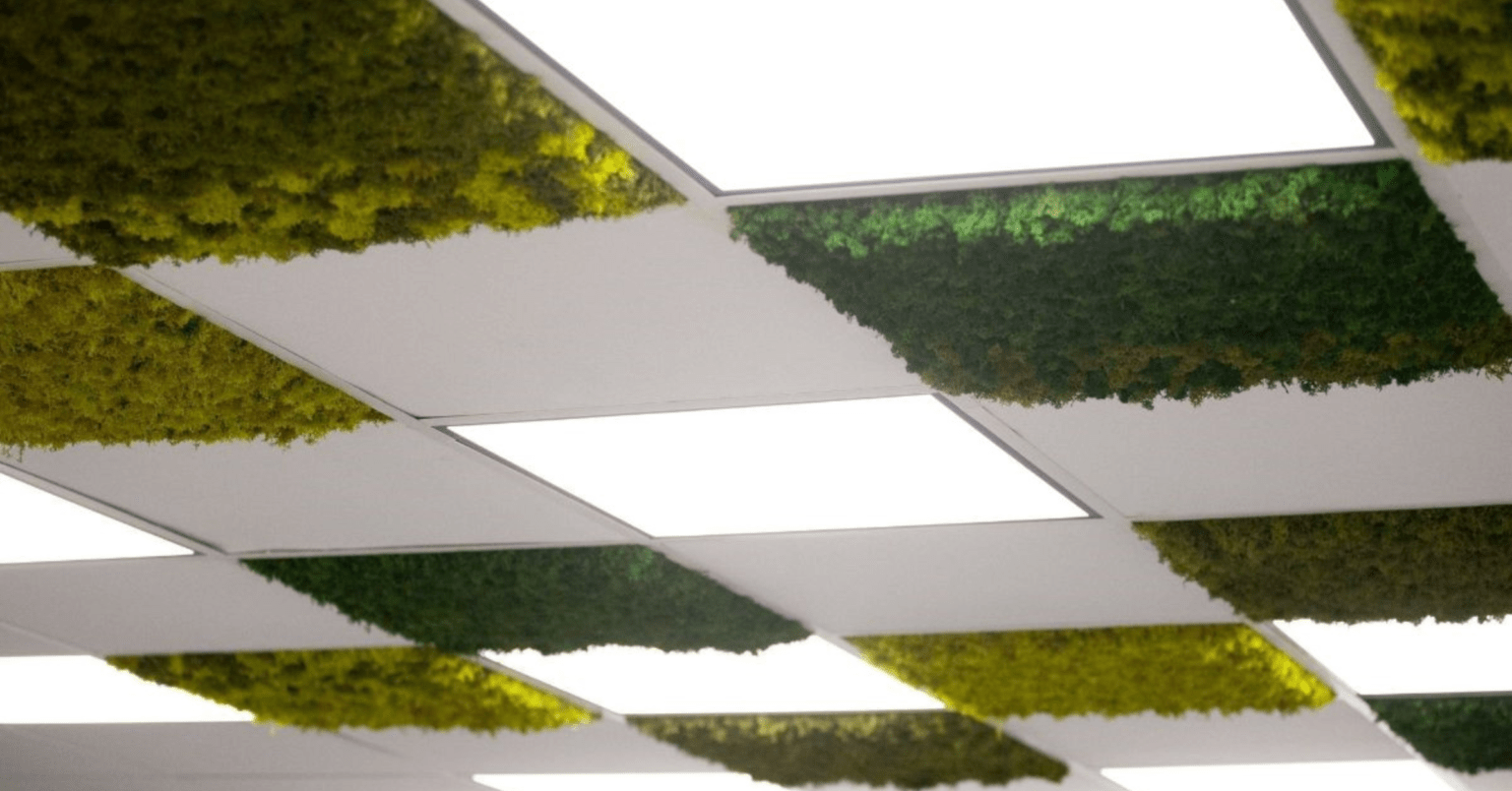 Moss Ceilings: A New Way to Bring Nature Indoors - Benholm News