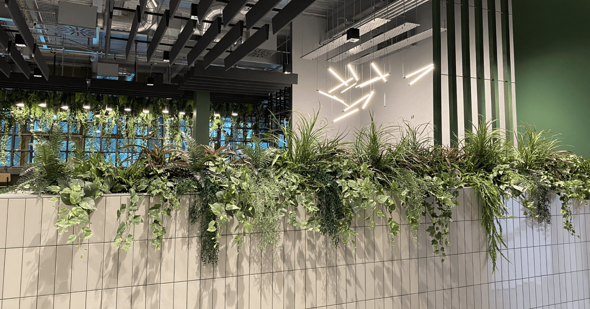 Five Ways To Make Your Entrance Stand Out With Plants - Benholm