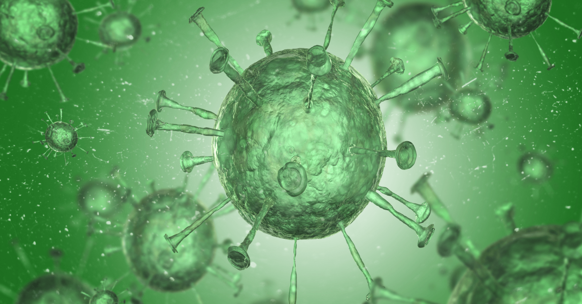 Revisiting NASA's Clean Air Study - Benholm