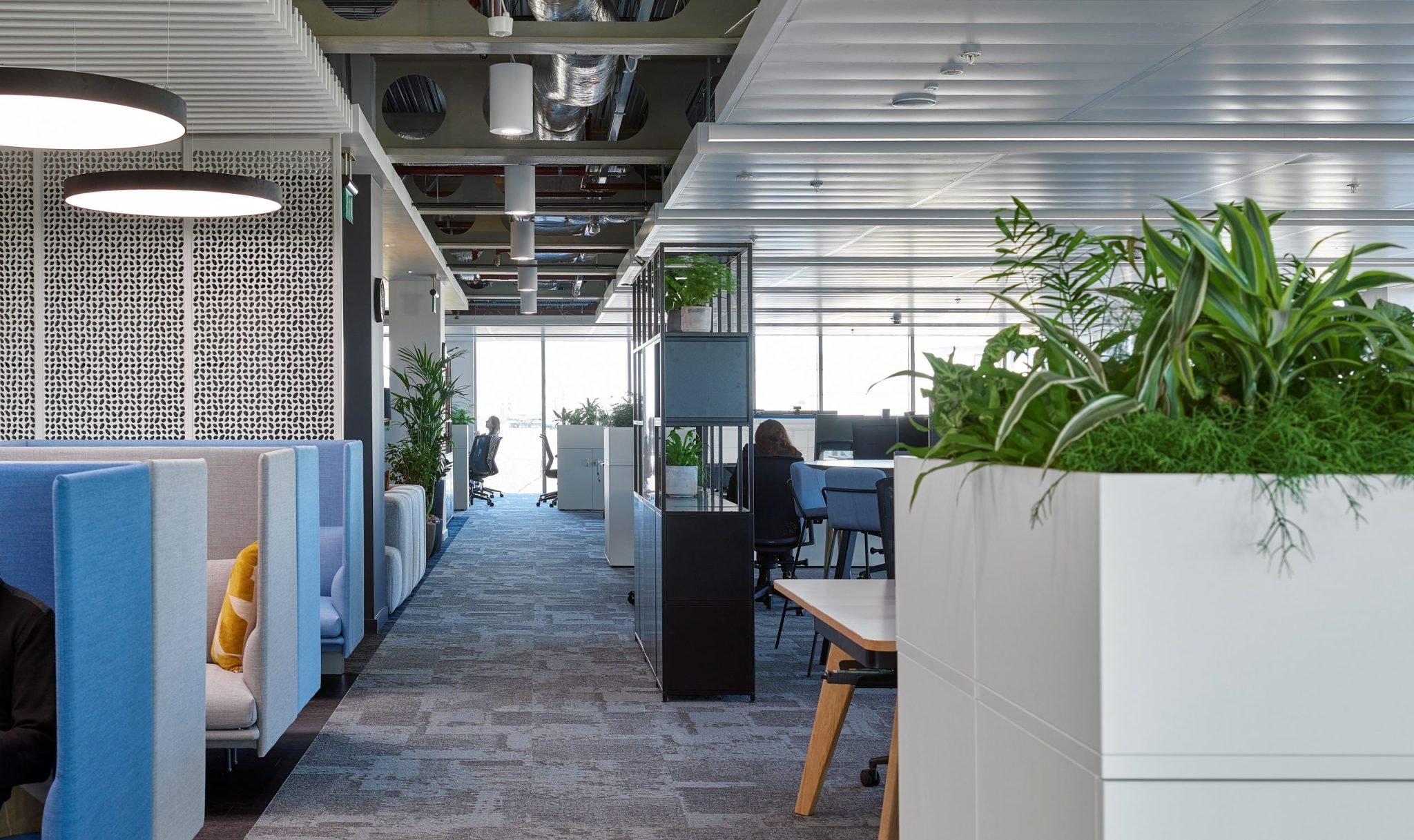 Corporate office plant displays for exceptional work environments - Benholm